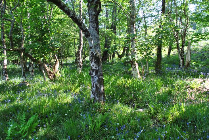 Inishail – Graveyards of Scotland