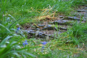 Inishail – Graveyards of Scotland