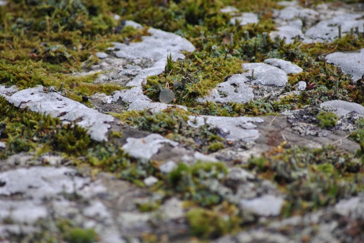 Jacobite weapons and a vanished island – Graveyards of Scotland