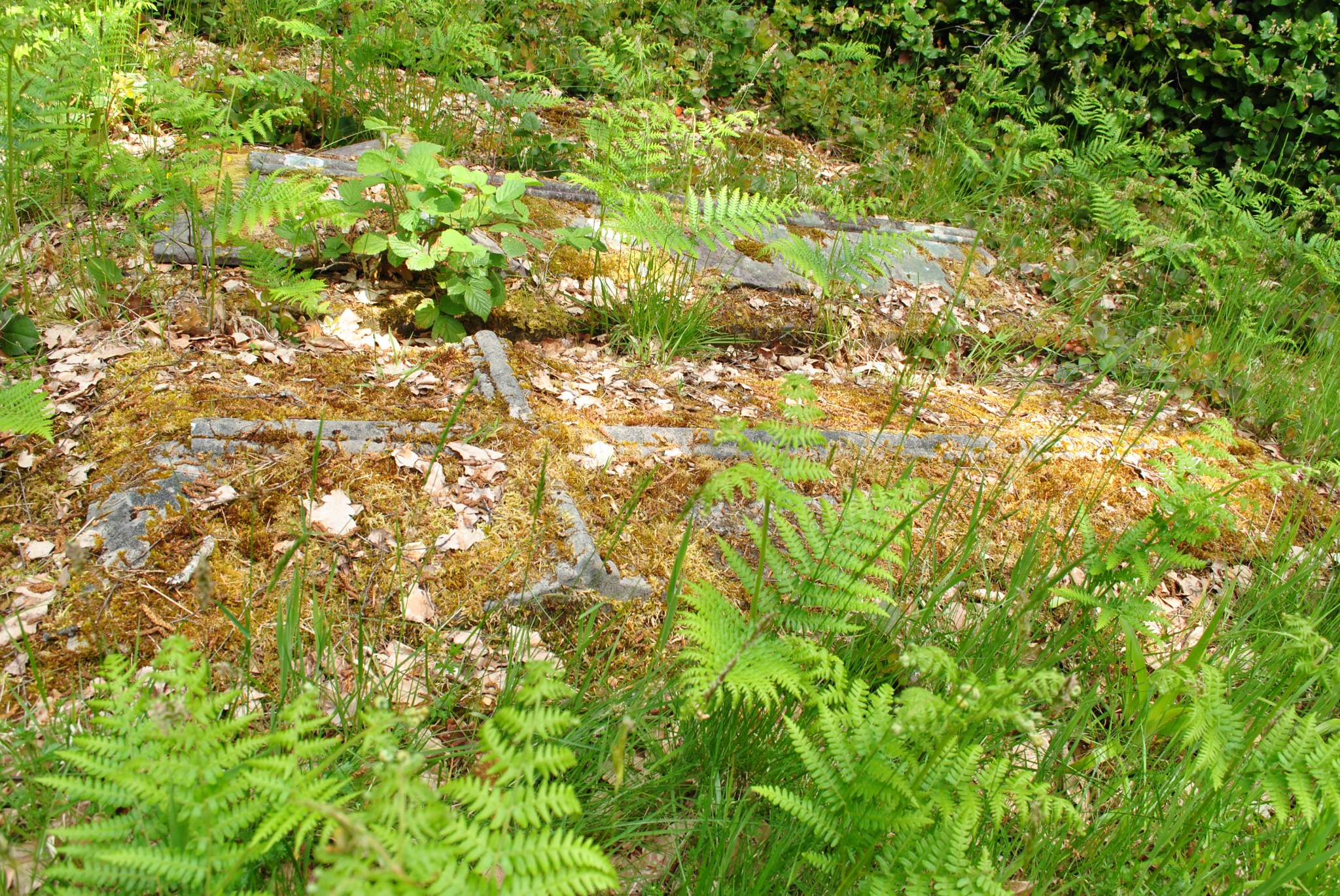 the burial site of the Cameron chiefs – Graveyards of Scotland
